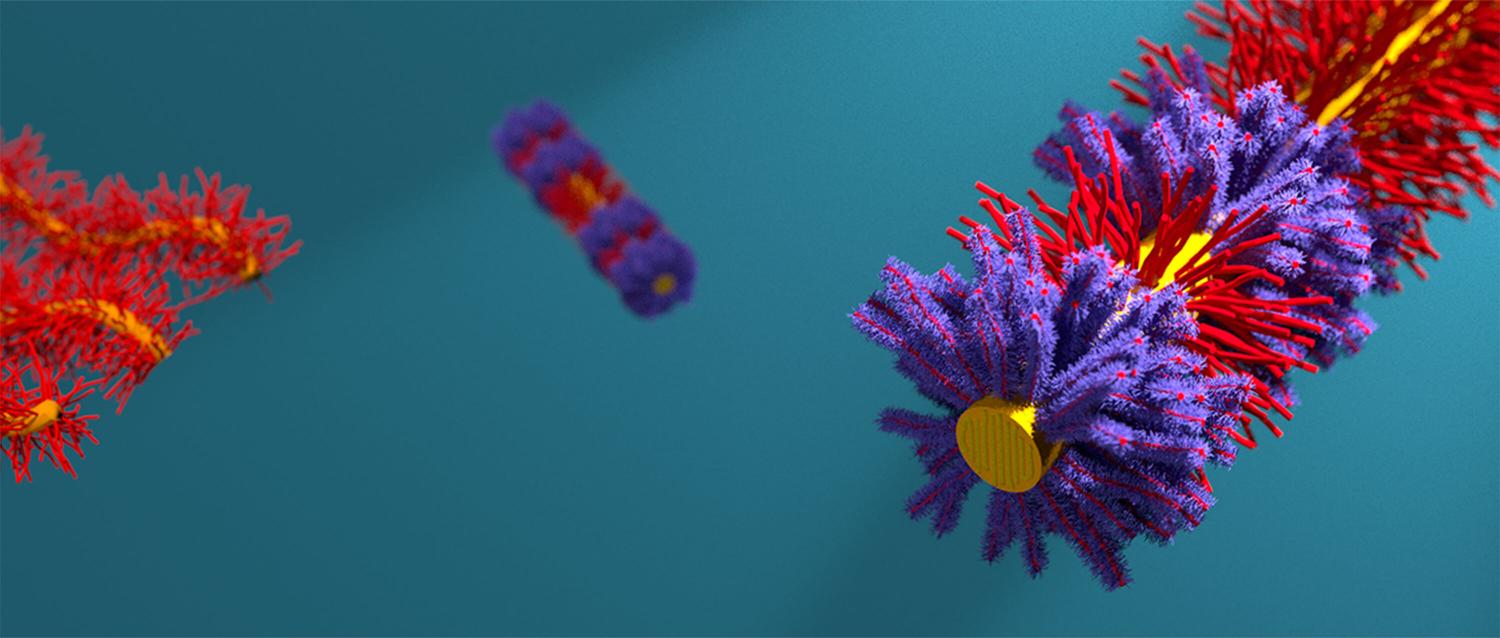 Home - University of Victoria