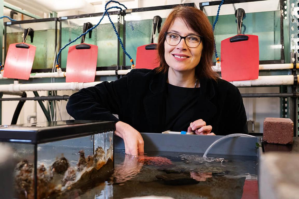 Awards & honours - Faculty & staff - UVic